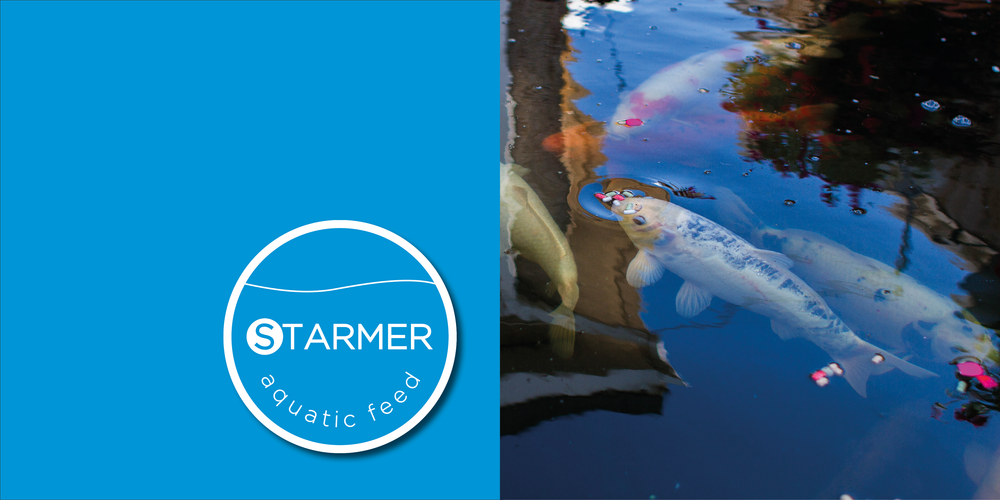 Quality fishing baits, Wild bird food & floating pond feed pellets ...