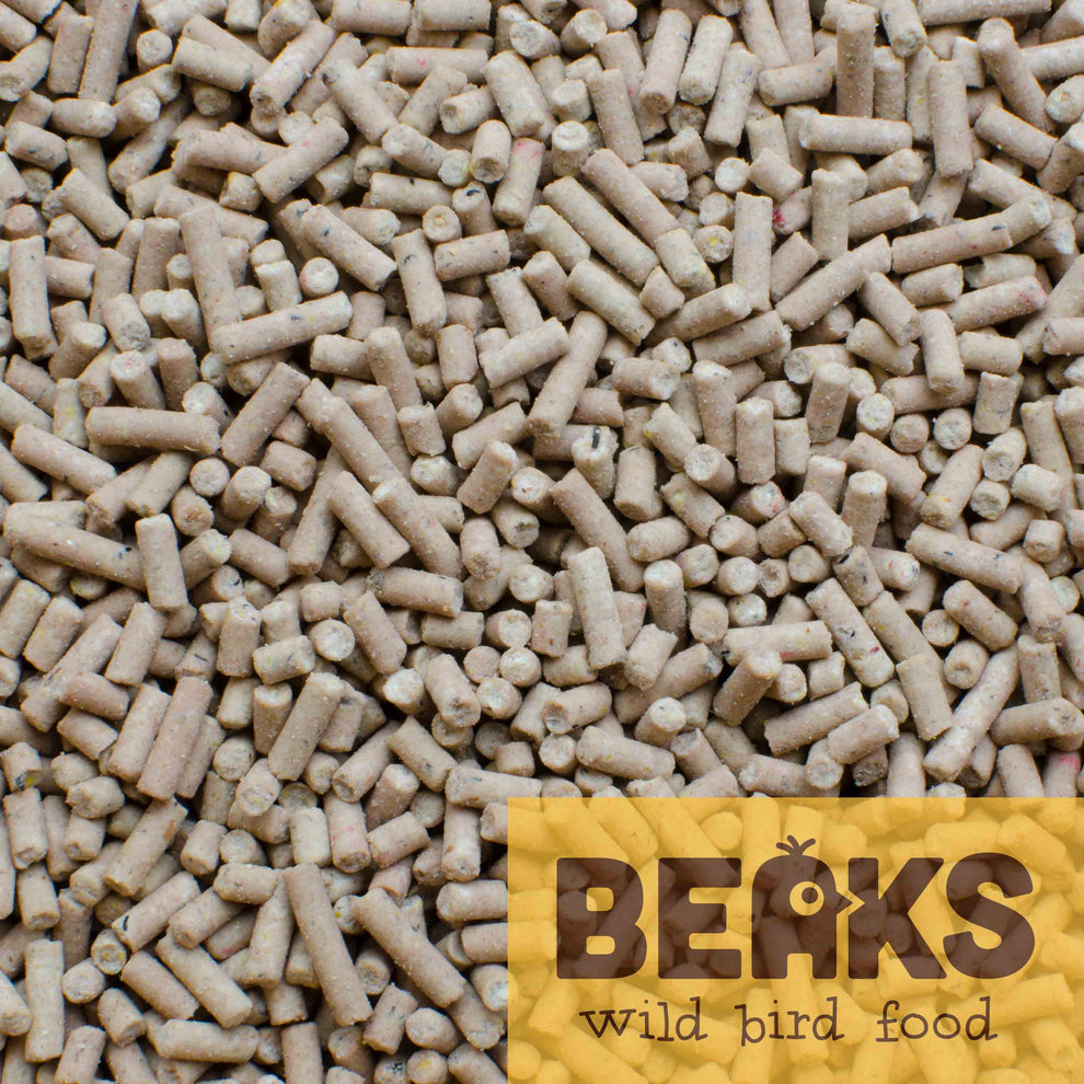Mealworm high energy suet feed pellets for feeding wild garden birds 12 ...