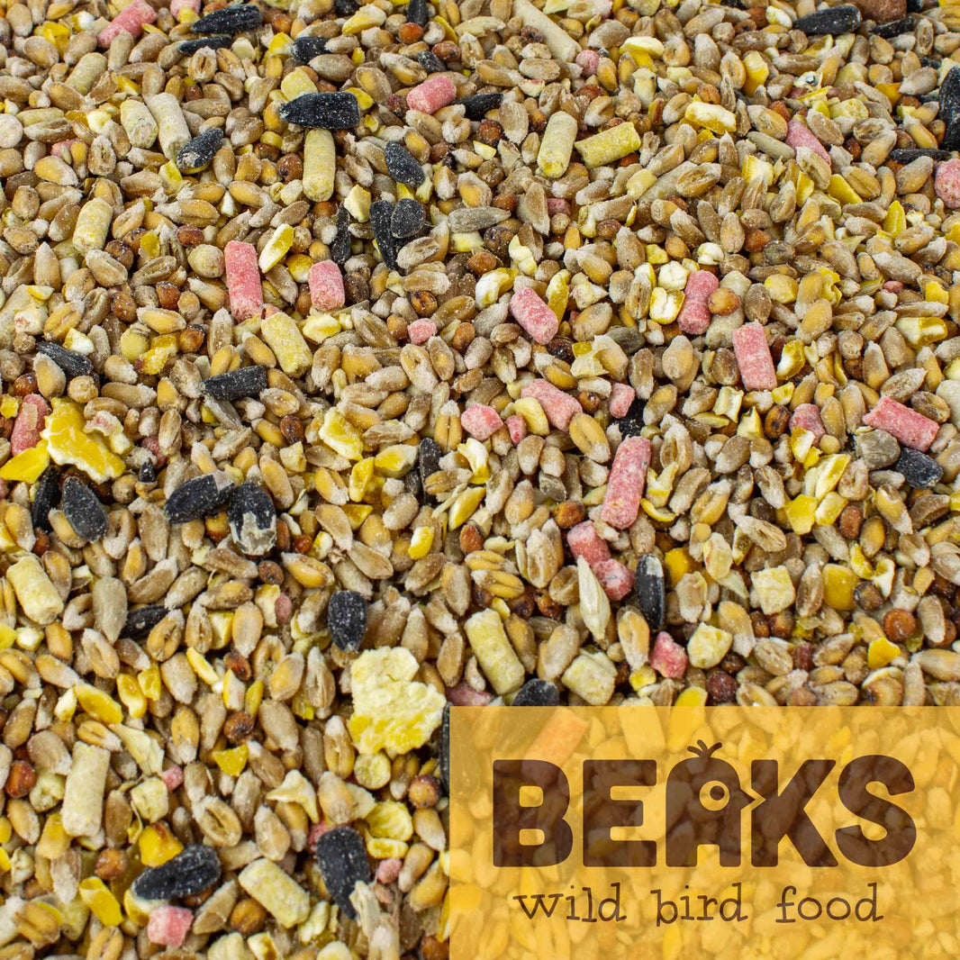 Wild bird feeds – Starmer Ltd